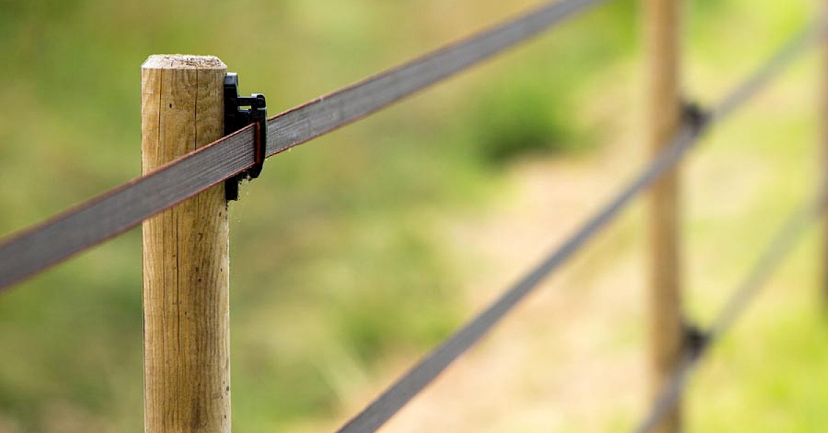 Gallagher Turbostar lint 40mm (terra, 200 meter) (Nr.: GAL010615)